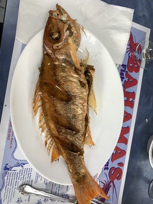 BAHAMAS FISH MARKET & RESTAURANT - 190 Photos & 123 Reviews - 7200 SW ...