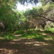 TRES RIOS WETLANDS - 26 Photos - Parks - Phoenix, AZ - Yelp