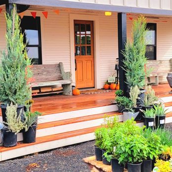 ROOTED IN - Updated January 2026 - 39 Photos & 13 Reviews - 12804 ...