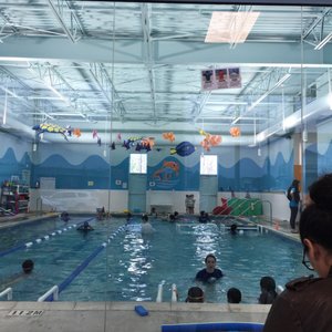 HIGH PARK POOL - 1873 Bloor St W, Toronto, ON - Yelp