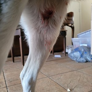 FOUR PAWS ONLY - 22 Photos & 26 Reviews - 2215 E Edgewood Dr, Lakeland ...