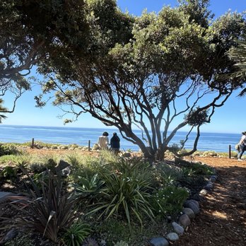 SELF REALIZATION FELLOWSHIP HERMITAGE & MEDITATION GARDENS - Updated ...