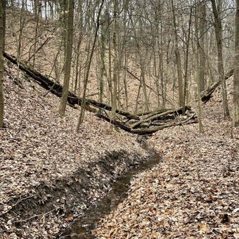 ELLISON PARK - Updated January 2026 - 74 Photos & 29 Reviews - 395 ...