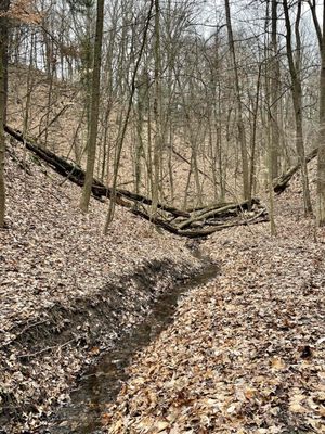 ELLISON PARK - Updated January 2025 - 71 Photos & 29 Reviews - 395 ...