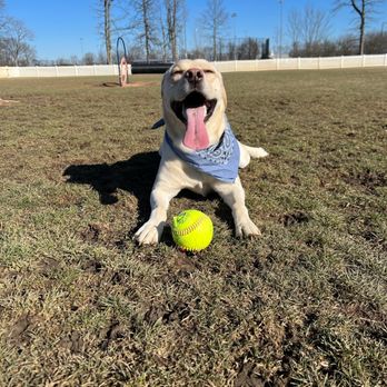 DARREE FIELDS DOG PARK - Updated December 2025 - 14 Photos & 15 Reviews ...