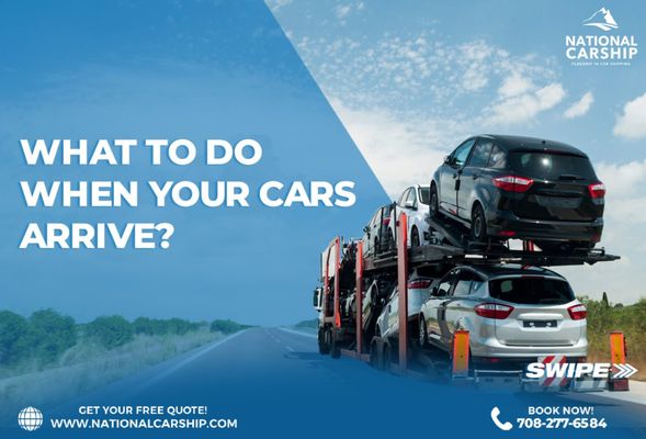 NATIONAL CARSHIP - Updated September 2025 - 39 Photos & 15 Reviews ...