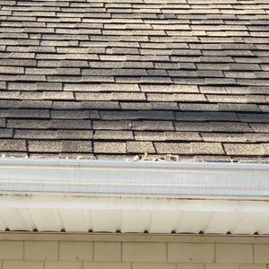 THE BROTHERS THAT JUST DO GUTTERS - Updated July 2025 - 47 Photos & 53 ...