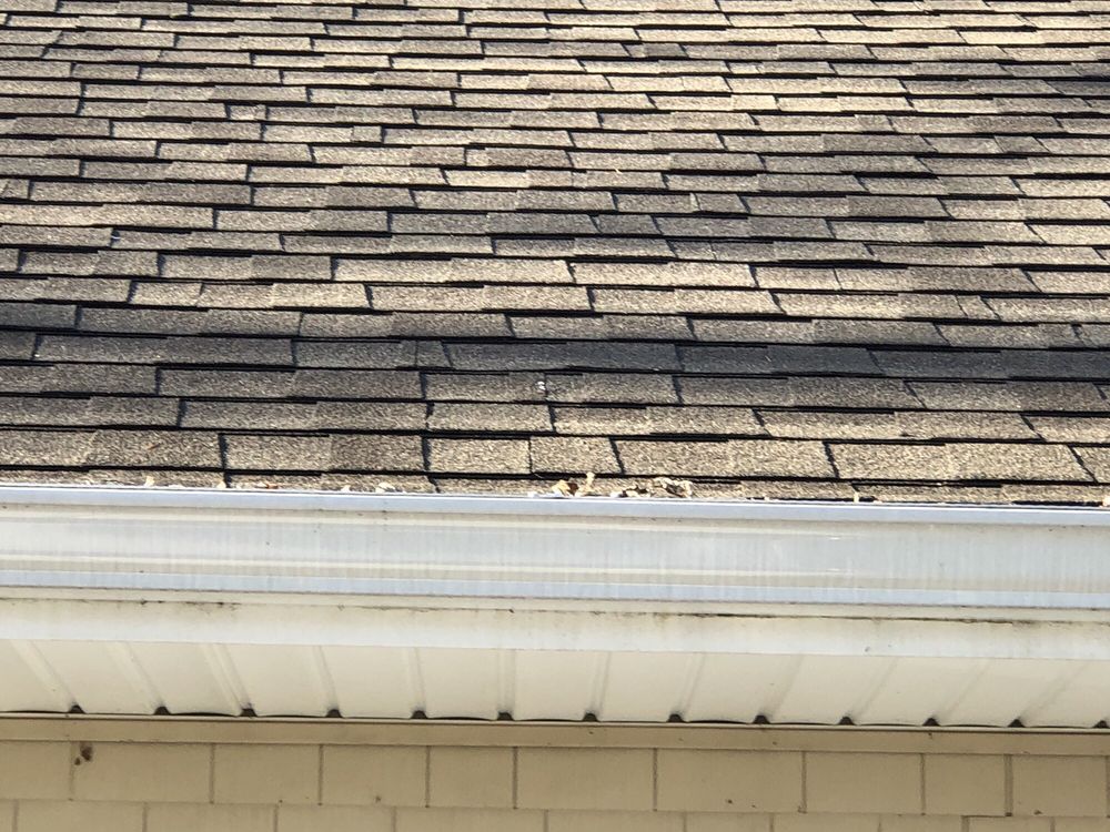 GUTTER FABULOUS - Updated December 2025 - 16 Photos & 20 Reviews ...