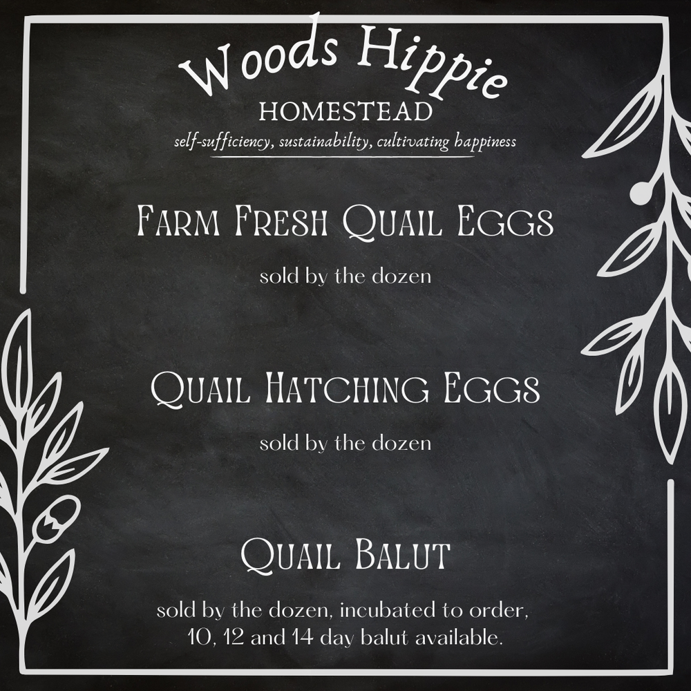 WOODS HIPPIE HOMESTEAD - Lebanon, Missouri - Specialty Food - Phone ...