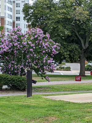 THOMAS CRANE PUBLIC LIBRARY - Updated June 2025 - 102 Photos & 57 ...