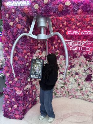 CLAW WORLD - Updated March 2025 - 375 Photos & 260 Reviews - 8665 W ...