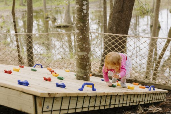 TREE FROGS ADVENTURE PARK - Updated September 2025 - 15 Photos - 19112 ...