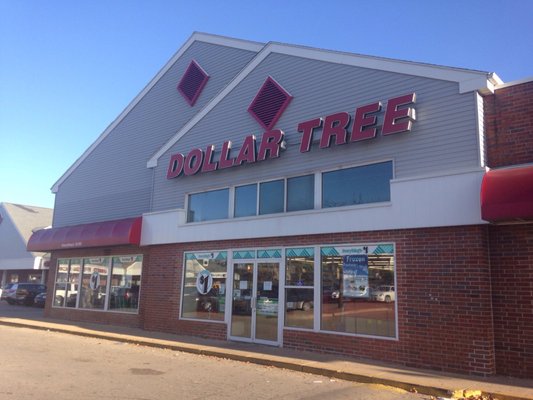 DOLLAR TREE - Updated June 2024 - 11 Reviews - 1759 Thierer Rd, Madison ...