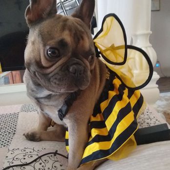 MENIFEE ANIMAL HOSPITAL - Updated November 2024 - 64 Photos & 362 ...