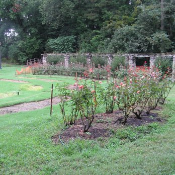 RALEIGH ROSE GARDEN - Updated September 2025 - 185 Photos & 23 Reviews ...