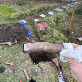 WESTERN ROOTER - 905 Photos & 1218 Reviews - 136 E Santa Clara St ...