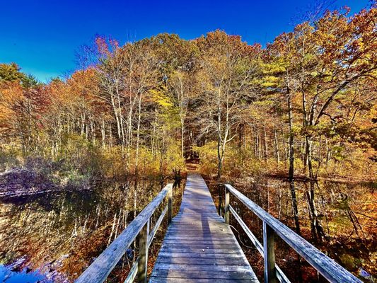 NORRIS RESERVATION - Updated July 2025 - 97 Photos - Dover St, Norwell ...