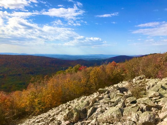JACKSON TRAIL- ROTHROCK STATE FORREST - Updated April 2025 - 10 Photos ...