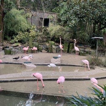 OREGON ZOO - Updated June 2024 - 3119 Photos & 888 Reviews - 4001 SW ...