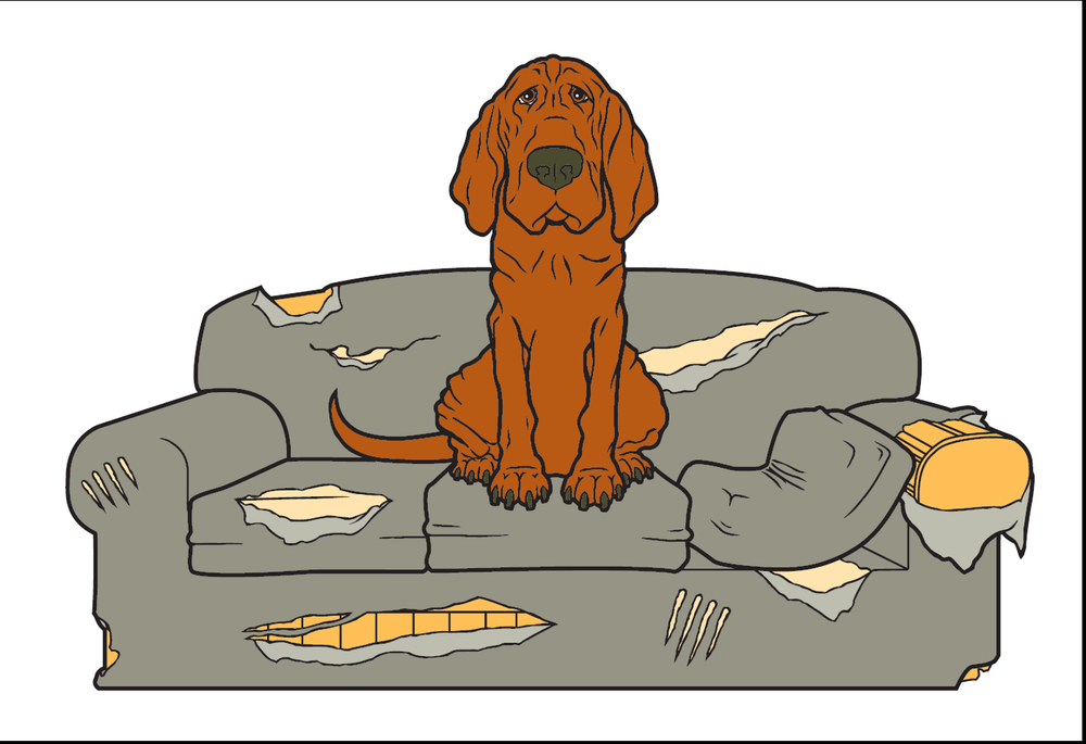 HEADSTRONG DOG TRAINING - Updated July 2025 - Wake Forest, North ...