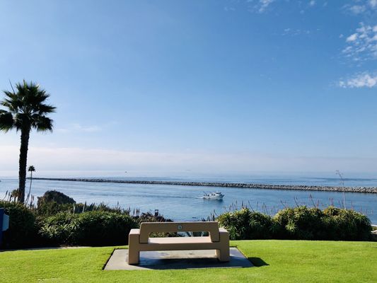 LOOKOUT POINT - Updated August 2024 - 82 Photos & 11 Reviews - 3001 ...