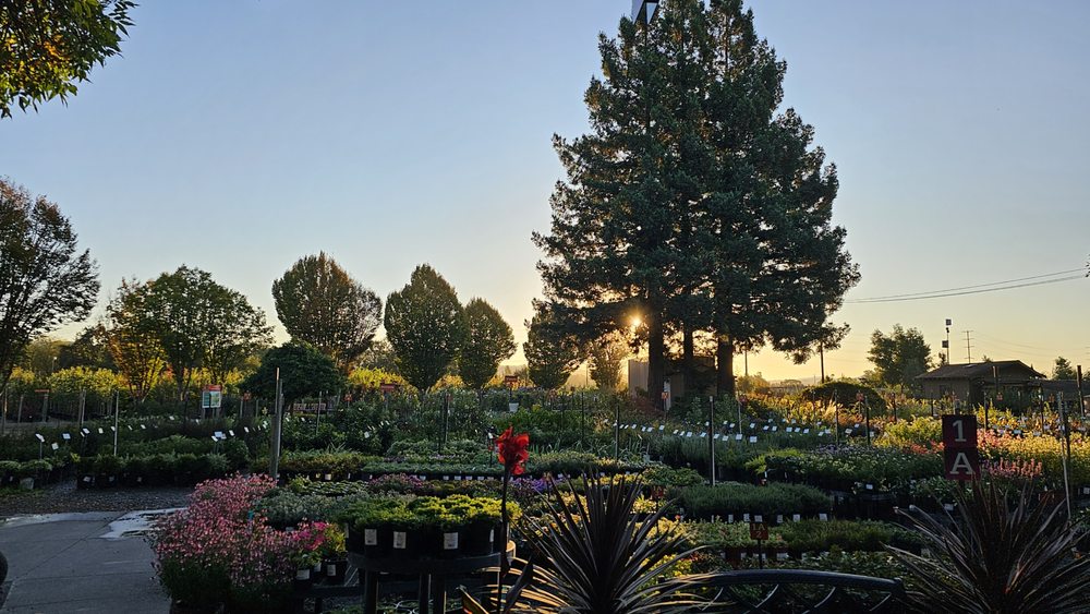 URBAN TREE FARM NURSERY - Updated December 2025 - 141 Photos & 134 ...