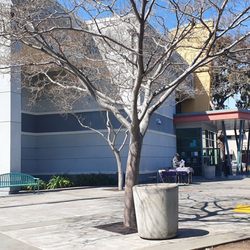 OAKLAND DMV OFFICE - 120 Photos & 591 Reviews - 5300 Claremont Ave ...