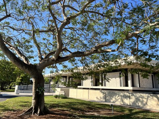 MIAMI DADE COLLEGE KENDALL CAMPUS - Updated December 2025 - 155 Photos ...