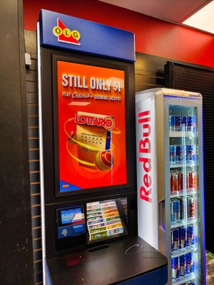 INS MARKET - Updated October 2024 - 17 Edward Street, Toronto, Ontario ...