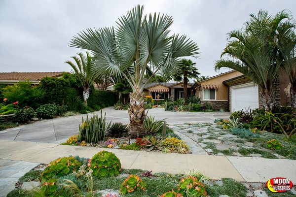 MOON VALLEY NURSERIES - Updated October 2025 - 619 Photos & 326 Reviews - 2653 East McKellips Rd ...