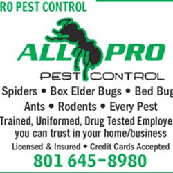 ALL PRO PEST CONTROL - Layton, Utah - Pest Control - Phone Number - Yelp