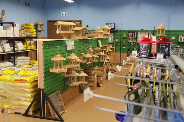 THE WILD BIRD STORE - Updated December 2025 - 12 Photos & 12 Reviews ...