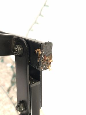 X OUT PEST SERVICES - Updated January 2026 - 67 Photos & 211 Reviews ...