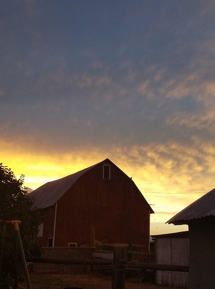 DMV INSURANCE SERVICES - Updated May 2024 - 751 Horizon Ct, Grand ...