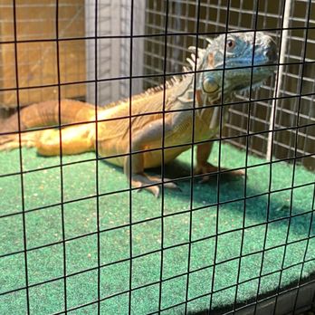 ALOHA SAFARI PARK - Updated August 2025 - 401 Photos & 180 Reviews ...