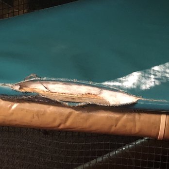 JUNGLE JAVA OF CANTON - Updated March 2025 - 53 Photos & 74 Reviews ...