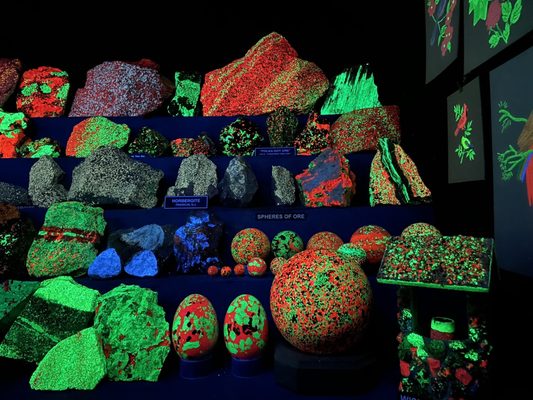 FRANKLIN MINERAL MUSEUM - Updated January 2026 - 15 Photos - 32 Evans ...