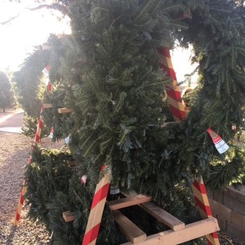 HEIDRICH’S COLORADO TREE FARM NURSERY - Updated August 2025 - 27 Photos ...