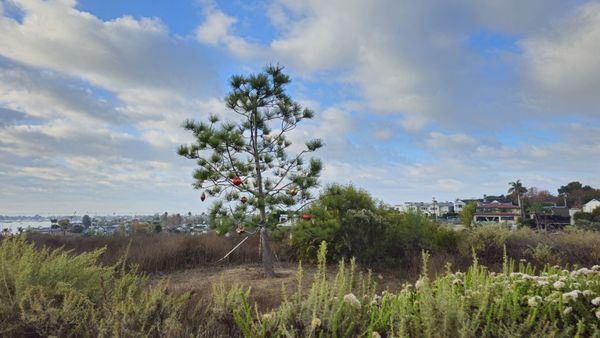 CASTAWAYS PARK - Updated October 2024 - 153 Photos & 37 Reviews - 700 ...