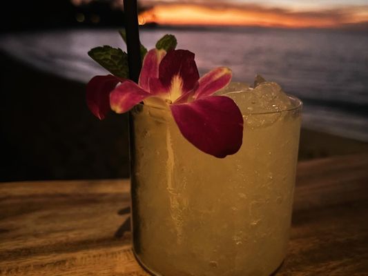 MOANA RESTAURANT - Updated January 2026 - 145 Photos & 42 Reviews - 72 ...