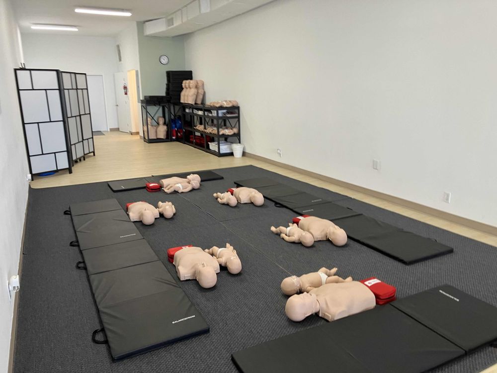 PALM OVER PALM FIRST AID & CRP CORP. - Updated January 2026 - 15 Photos ...