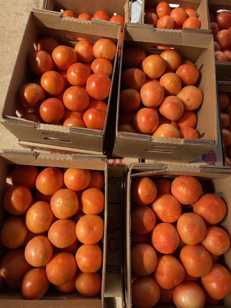 CROOM FARMS - Updated January 2026 - 13 Photos - 4146 Old Hwy 63 N ...