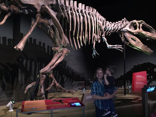 SCIENCE CENTER OF IOWA - 154 Photos & 63 Reviews - 401 W Martin Luther ...