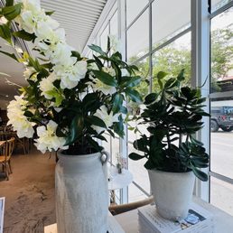 MAMAN - Updated December 2025 - 185 Photos & 65 Reviews - 5801 Sunset ...