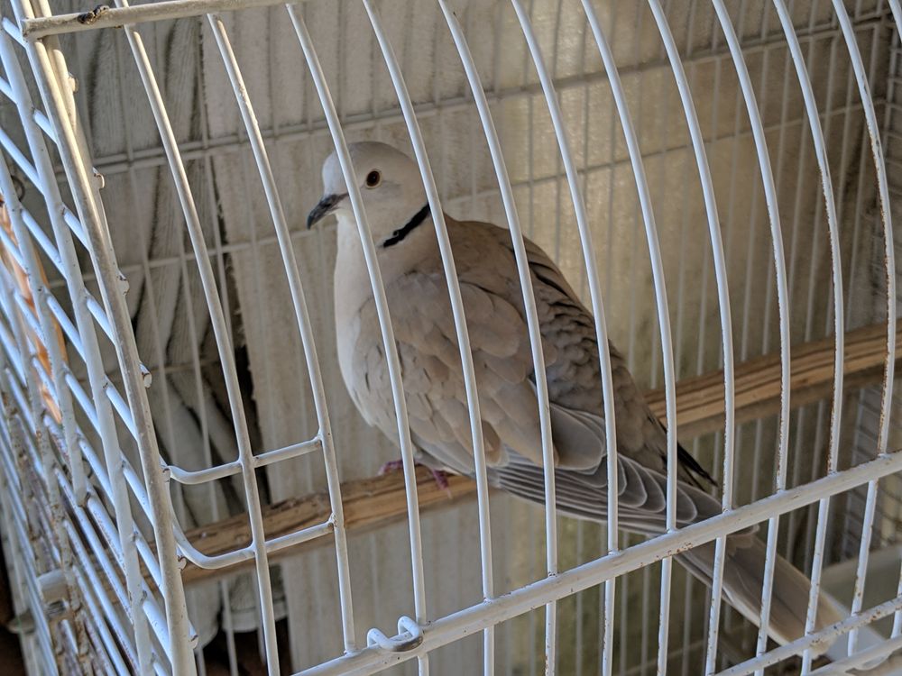 TENDER LOVING ANIMAL CARE - Updated July 2025 - 26 Photos & 19 Reviews ...