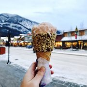 COWS - Updated August 2025 - 320 Photos & 204 Reviews - 138 Banff ...