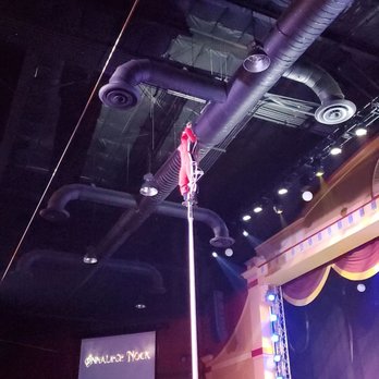 CHRISTMAS IN THE DELLS DINNER SHOW - Updated November 2024 - 26 Photos ...