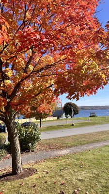 SHELDRAKE POINT WINERY - Updated October 2025 - 178 Photos & 86 Reviews ...