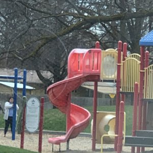 TOGETHER TREASURE VALLEY DOG ISLAND AT ANN MORRISON PARK - Updated ...