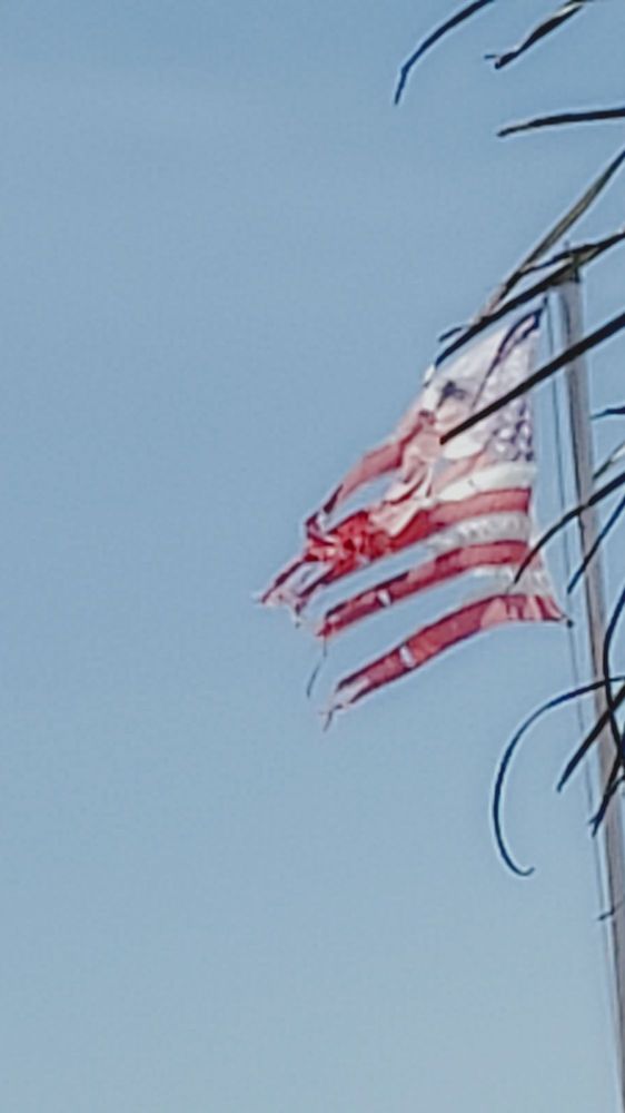 SPY & SURVIVAL BRIEFING - Updated January 2026 - 124 S Main St, Cedar ...